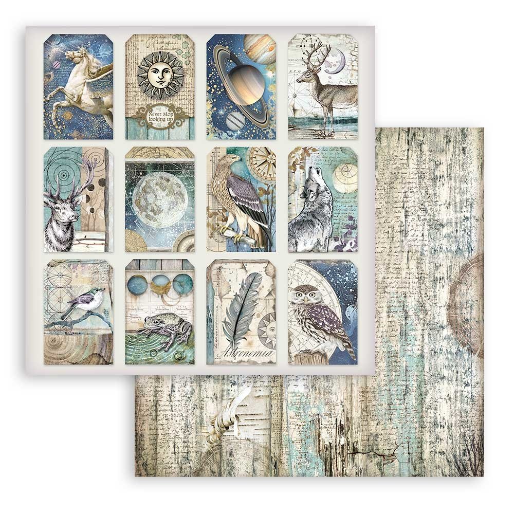 Stamperia "Cosmos Infinity" 6x6" Paper Pack (SBBXS22) - Faltkarten.com